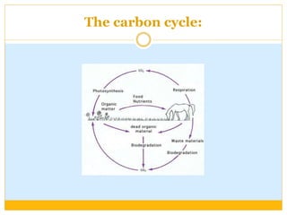 Biogeochemical cycles | PPTX