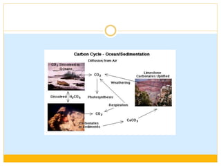 Biogeochemical cycles | PPTX