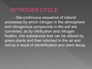 Biogeochemical Cycles (Carbon and Nitrogen Cycle) | PPTX