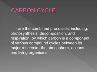 Biogeochemical Cycles (Carbon and Nitrogen Cycle) | PPTX
