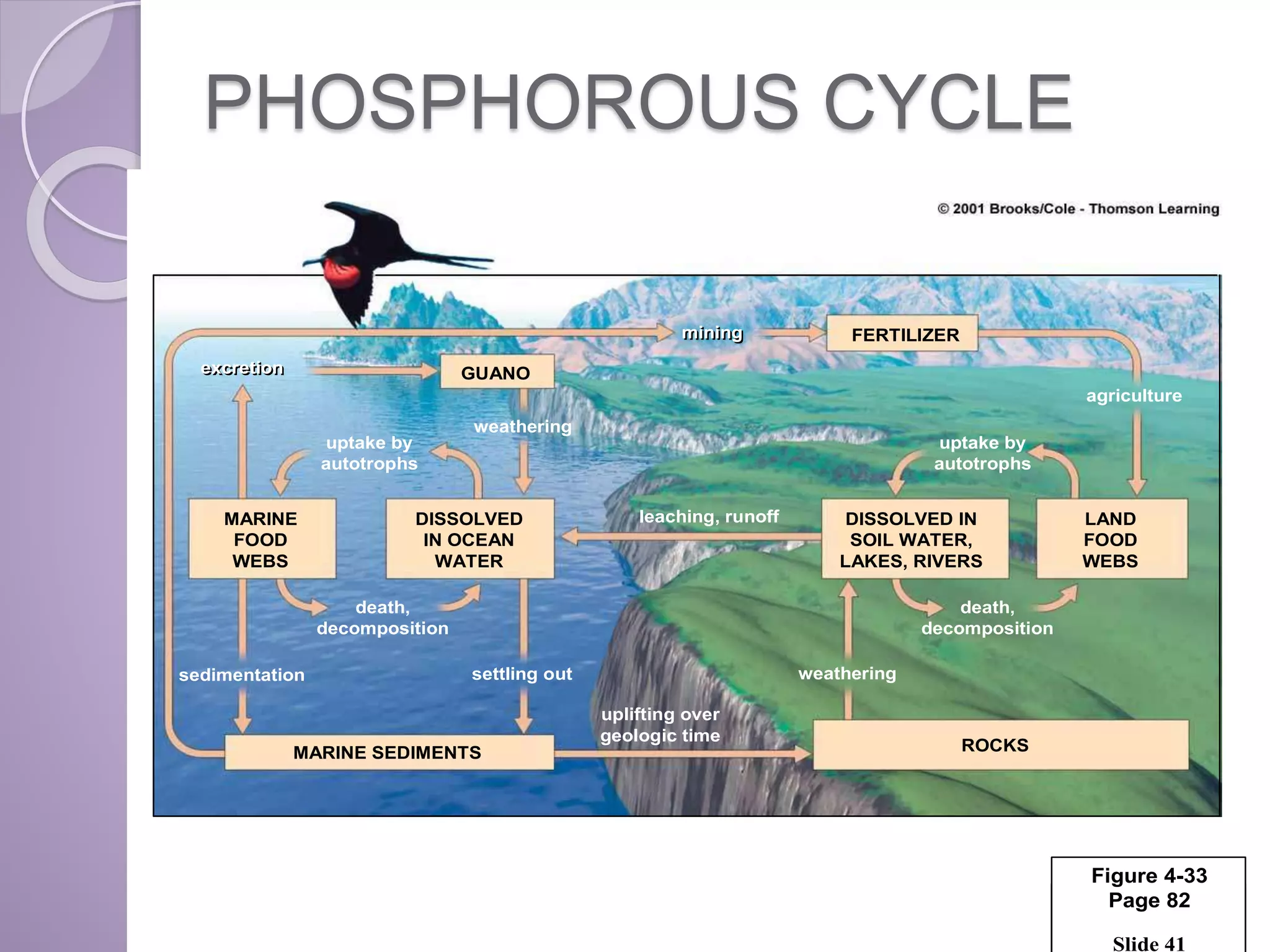 Biogeochemical cycles | PPTX