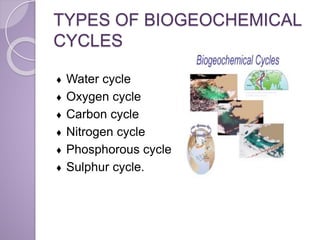 Biogeochemical cycles | PPTX