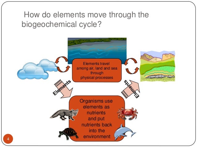 Biogeochemical cycles