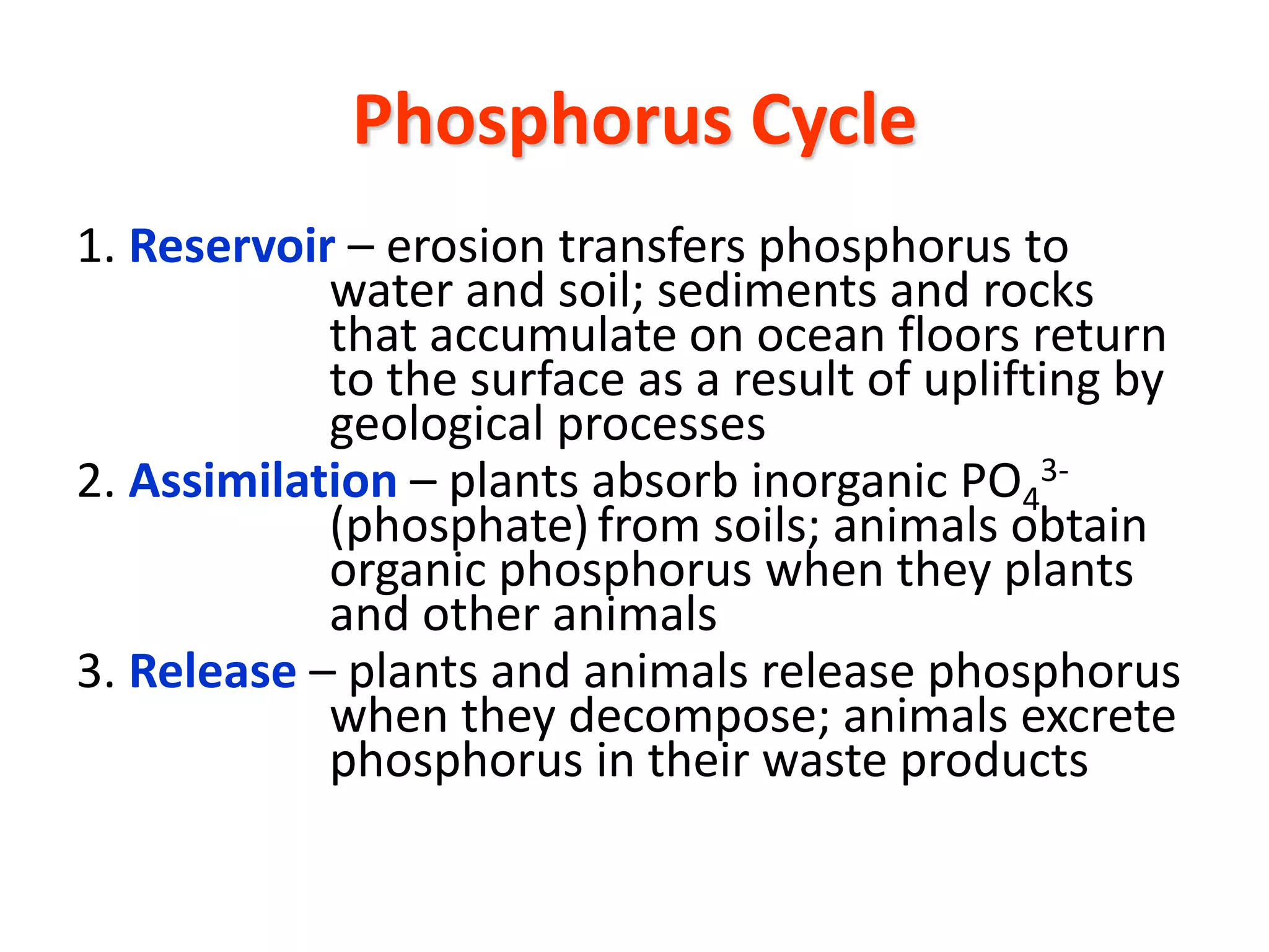 Biogeochemical cycles | PPTX