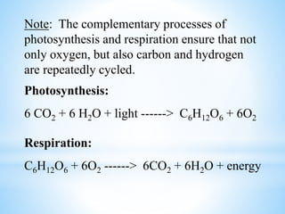 Biogeochemical cycles | PPT