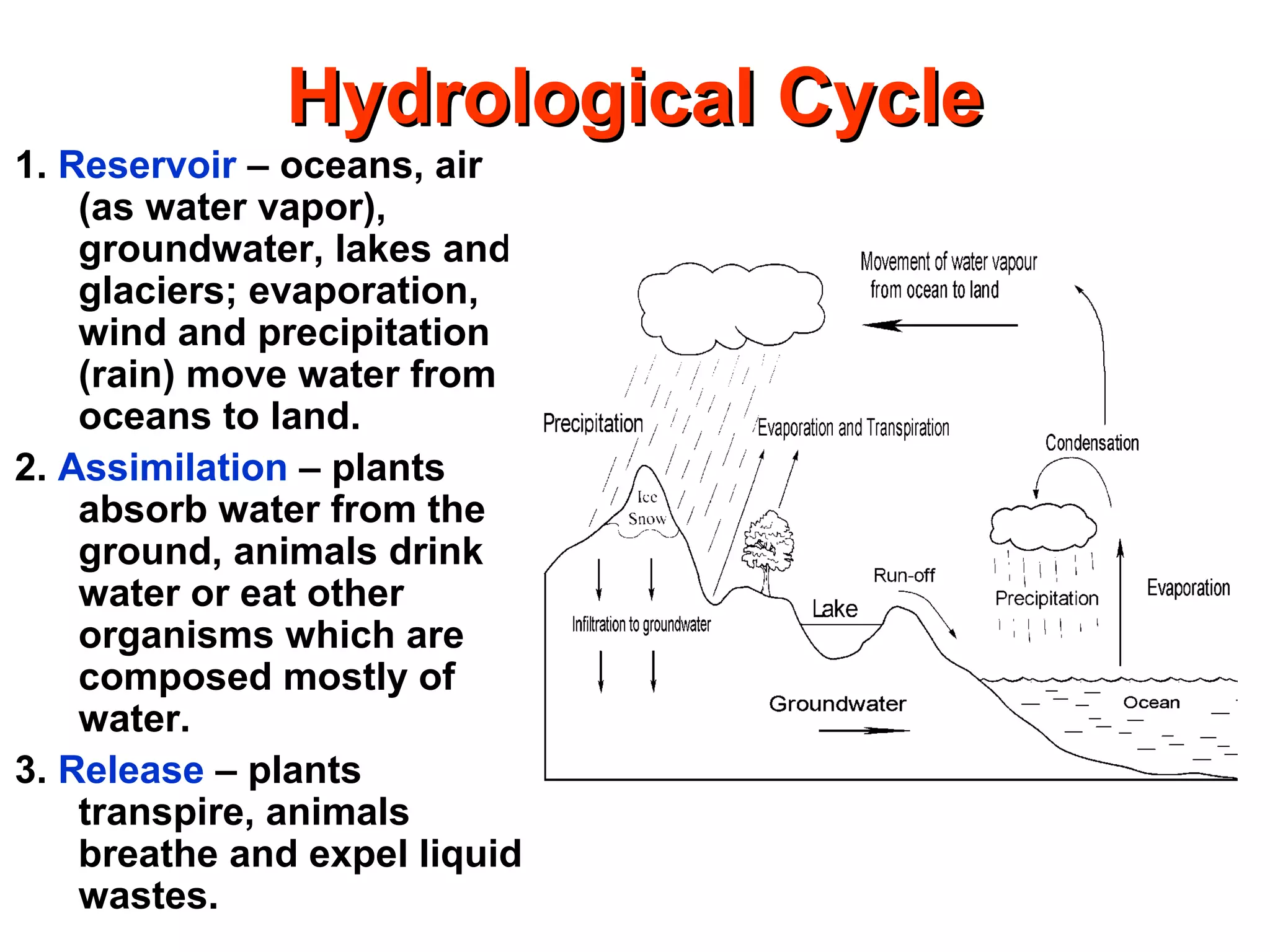 Biogeochemical cycles | PPT