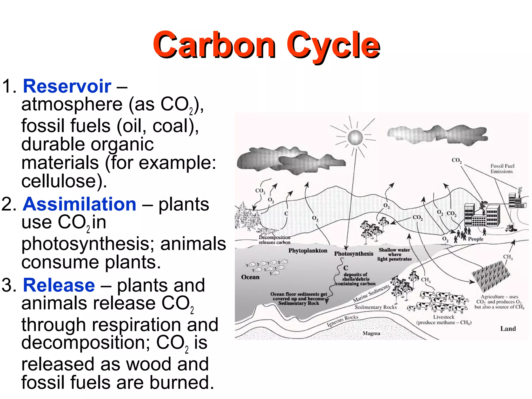 Biogeochemical cycles | PPT