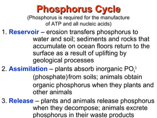 Biogeochemical cycles | PPT