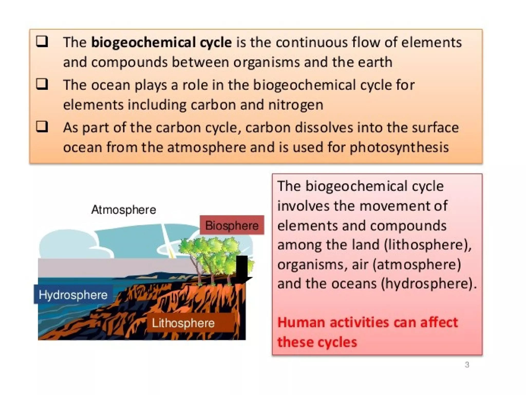 Biogeochemical cycles | PPT