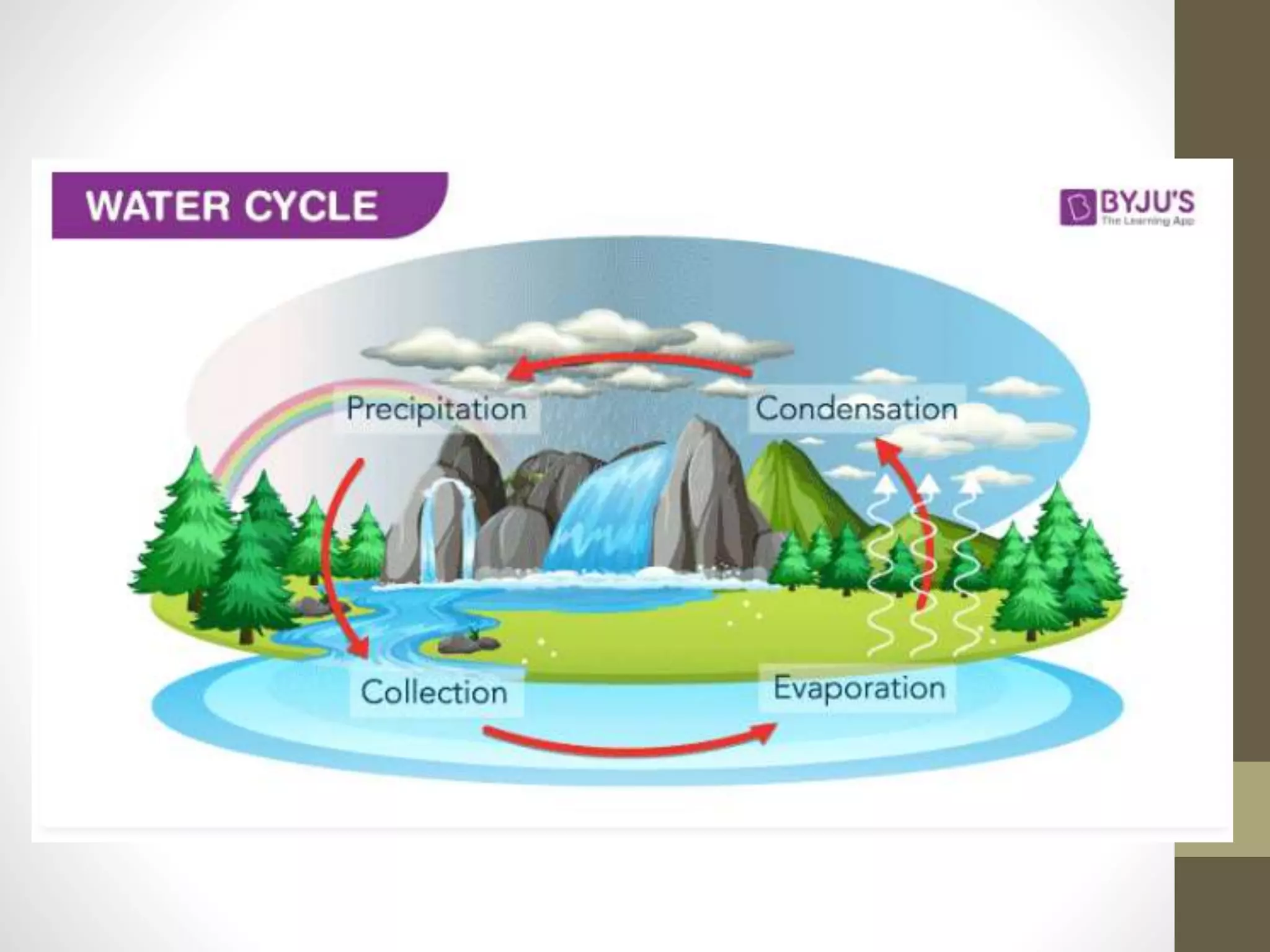 Biogeochemical Cycles.pptx