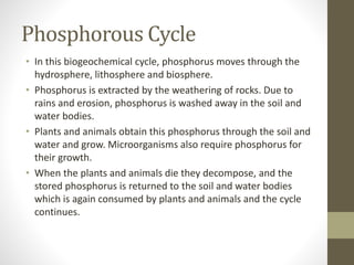 Biogeochemical Cycles.pptx