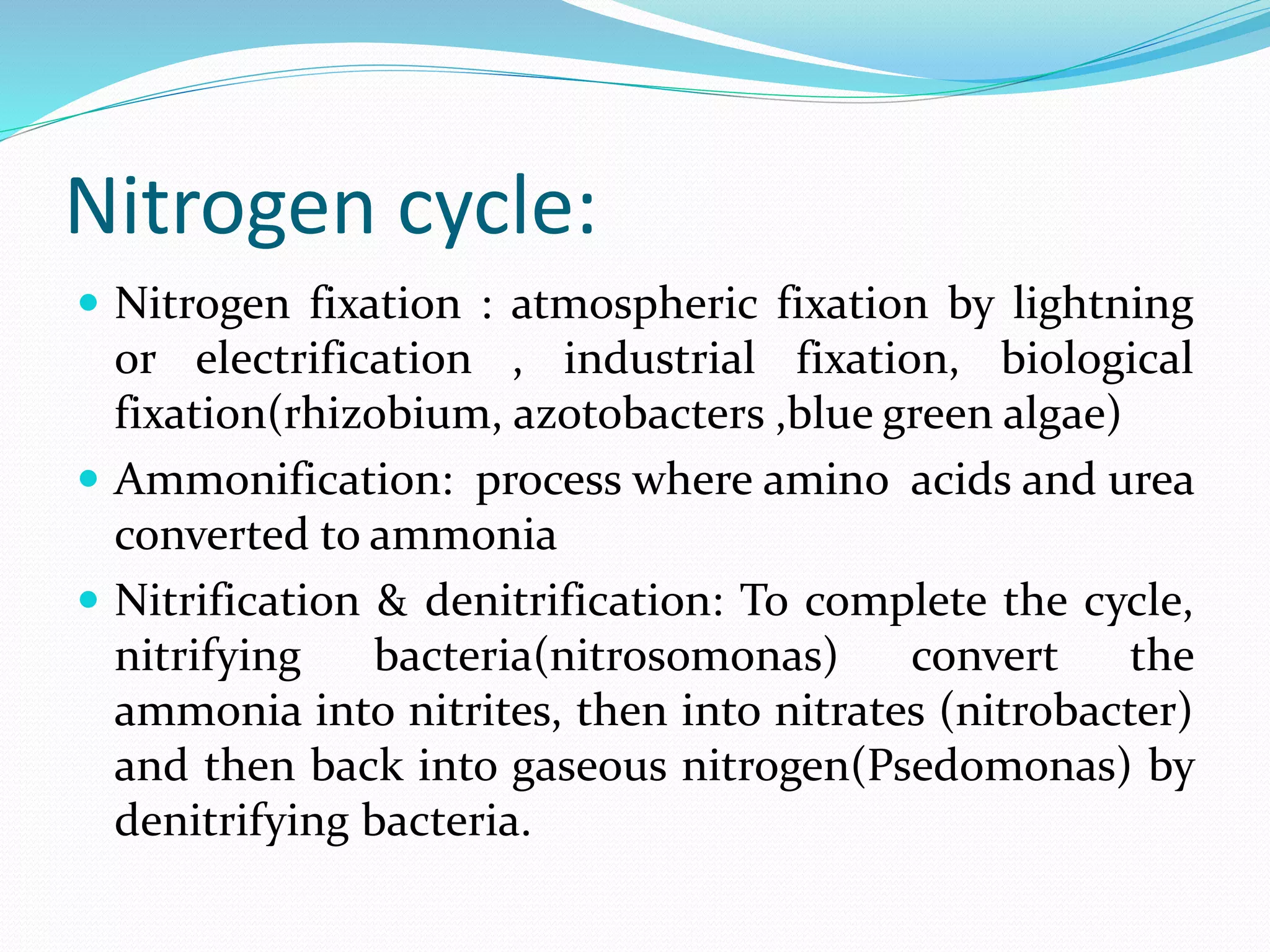 BIO GEOCHEMICAL CYCLES.pptx