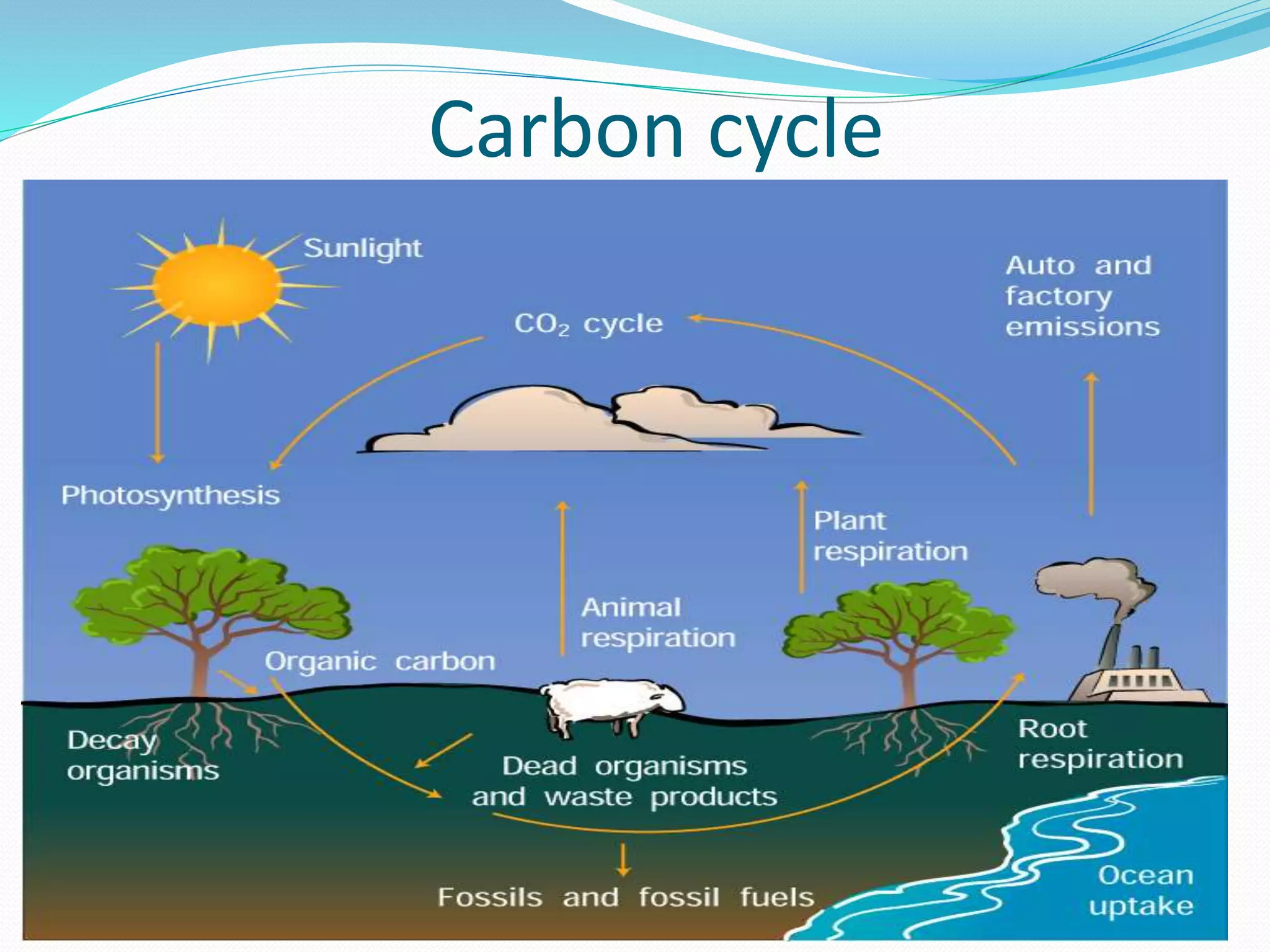 BIO GEOCHEMICAL CYCLES.pptx