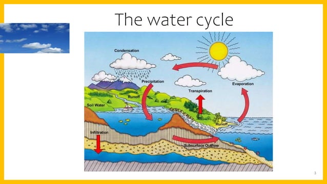 Bio geo chemical cycles.pptx