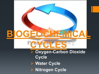 BIOGEOCHEMICAL CYCLES.pptx