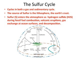 biogeochemicalcycles.pdf