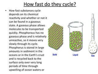 biogeochemicalcycles.pdf