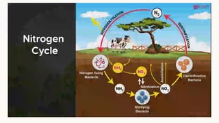 GRADE EIGHT SCIENCE BIOGEOCHEMICAL CYCLES.pptx