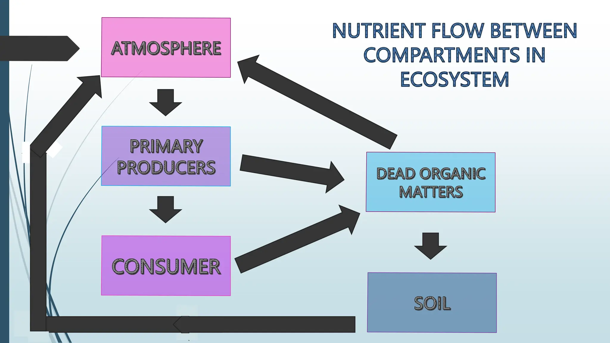 BIOGEOCHEMICAL CYCLES.pptx