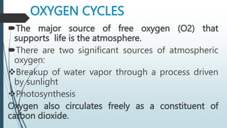 BIOGEOCHEMICAL CYCLES.pptx
