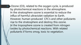 BIOGEOCHEMICAL CYCLES.pptx