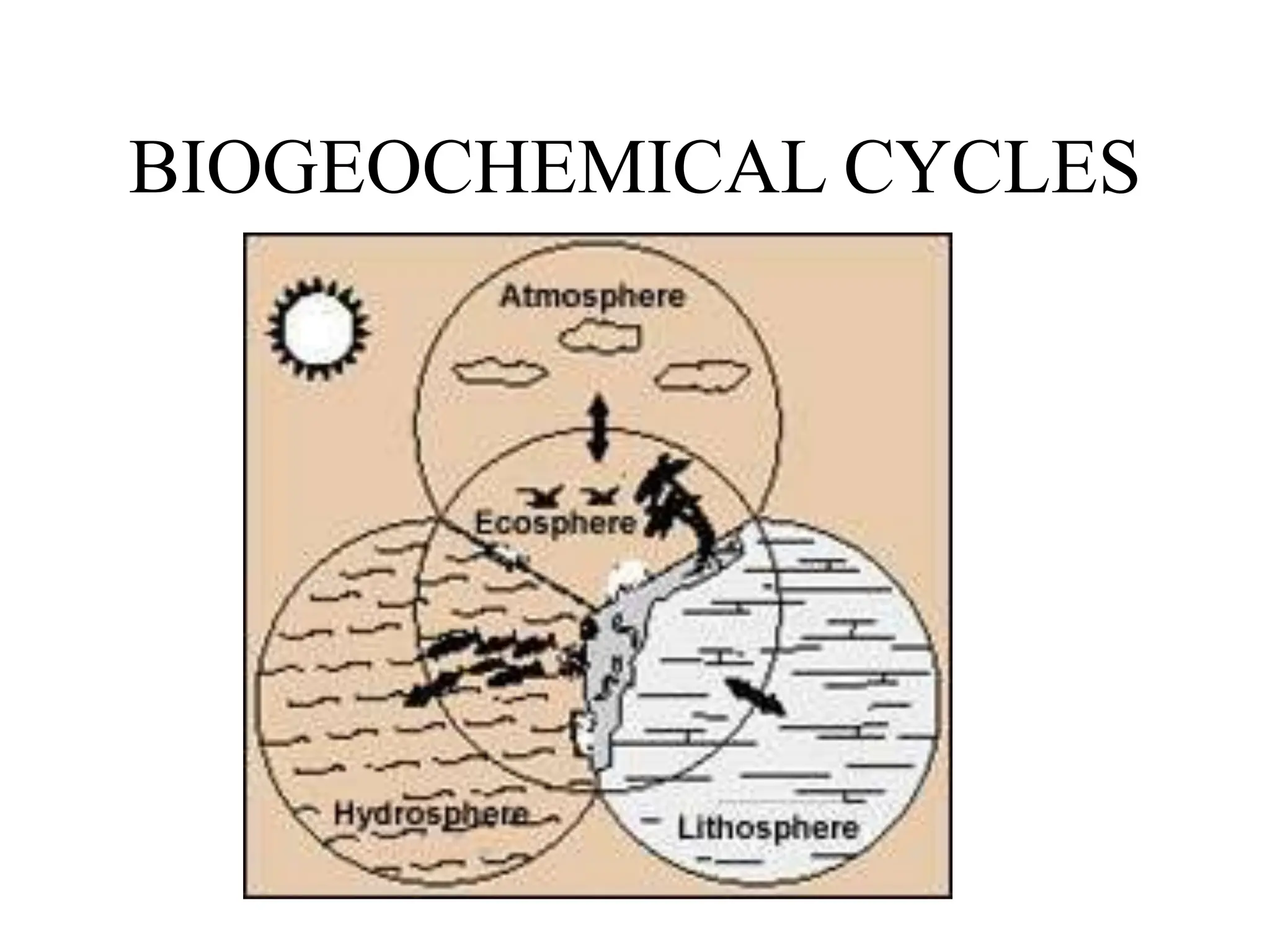 BIOGEOCHEMICAL_CYCLES.ppt