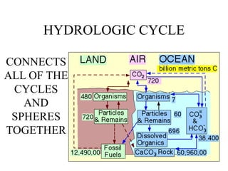 BIOGEOCHEMICAL_CYCLES.ppt