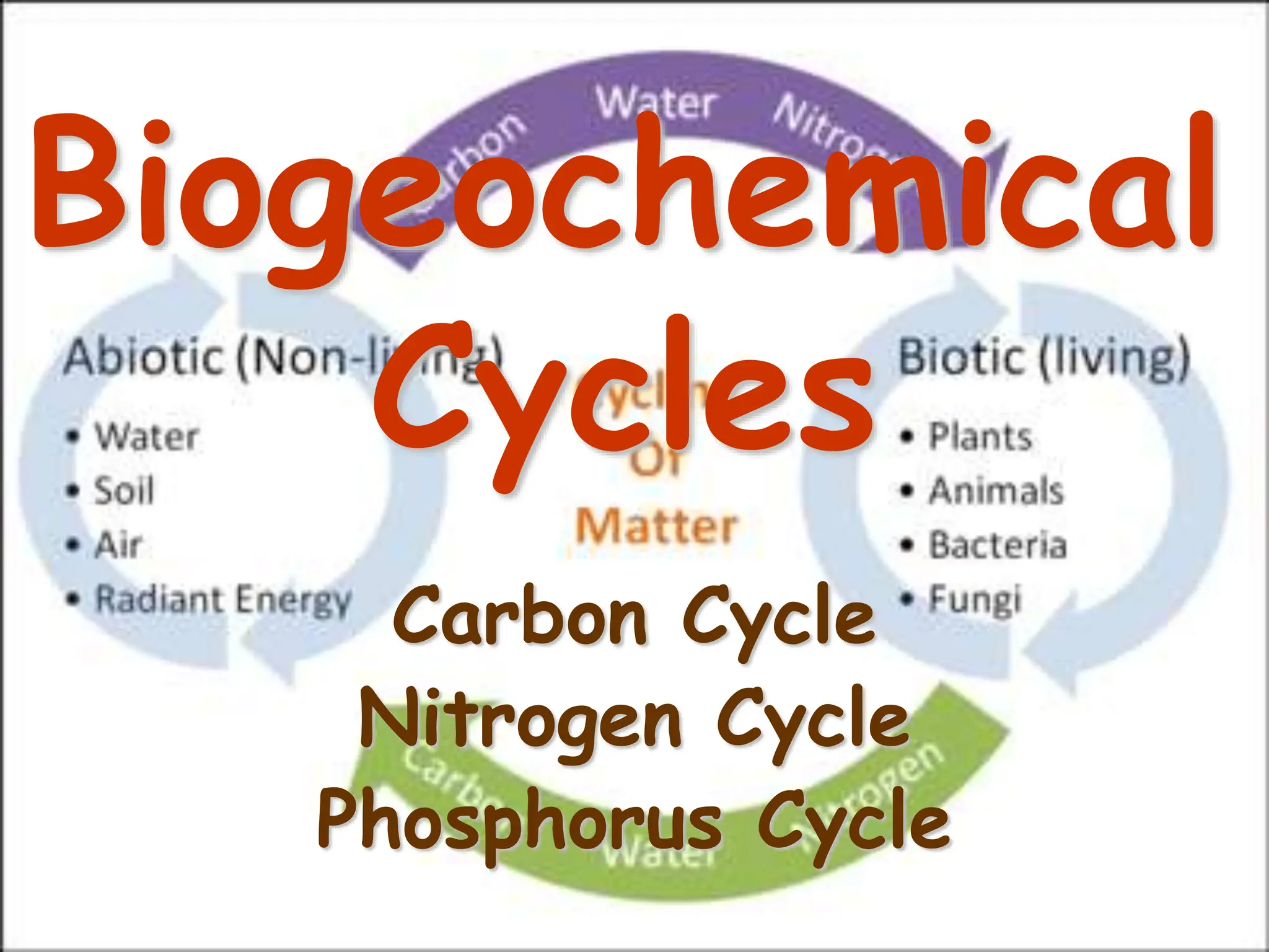NUTRIENT CYCLING (biogeochemical_cycles).ppt