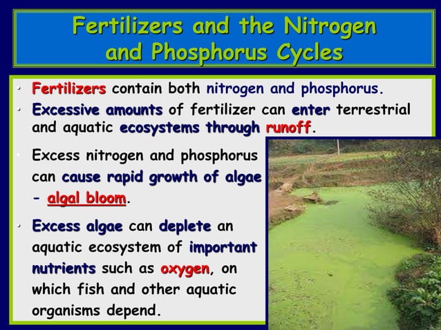 NUTRIENT CYCLING (biogeochemical_cycles).ppt