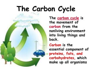 NUTRIENT CYCLING (biogeochemical_cycles).ppt