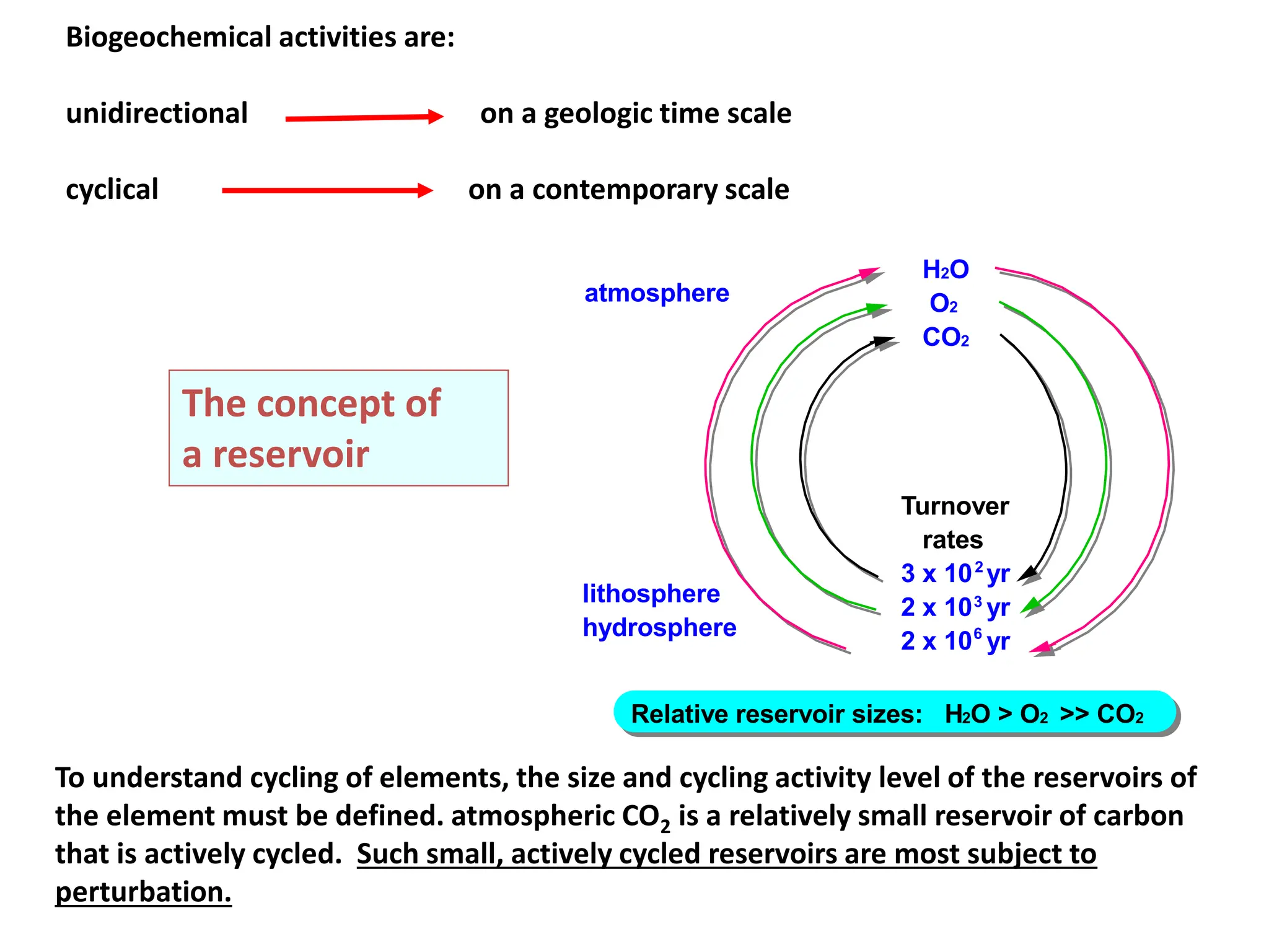 Biogeochemical cycles.ppt by maria ashraf | PPT
