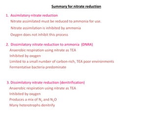Biogeochemical cycles.ppt by maria ashraf | PPT