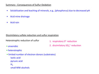 Biogeochemical cycles.ppt by maria ashraf | PPT