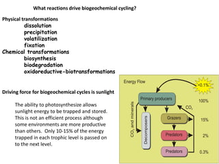 Biogeochemical cycles.ppt by maria ashraf | PPT