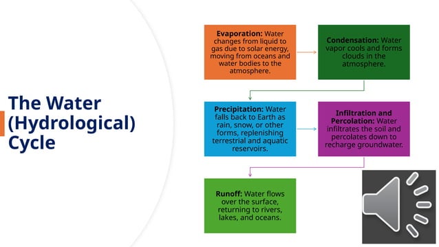 Biogeochemical Cycles (carbon, nitrogen and phosphorus) | PPTX