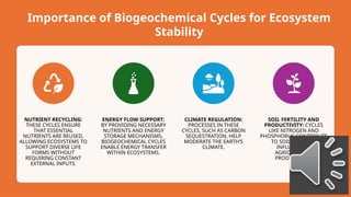 Biogeochemical Cycles (carbon, nitrogen and phosphorus) | PPTX