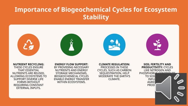 Biogeochemical Cycles (carbon, nitrogen and phosphorus) | PPTX