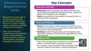 Biogeochemical Cycles (carbon, nitrogen and phosphorus) | PPTX