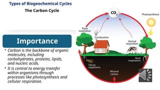 Biogeochemical Cycles (carbon, nitrogen and phosphorus) | PPTX