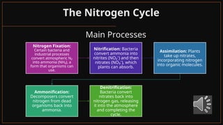 Biogeochemical Cycles (carbon, nitrogen and phosphorus) | PPTX