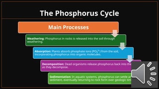 Biogeochemical Cycles (carbon, nitrogen and phosphorus) | PPTX