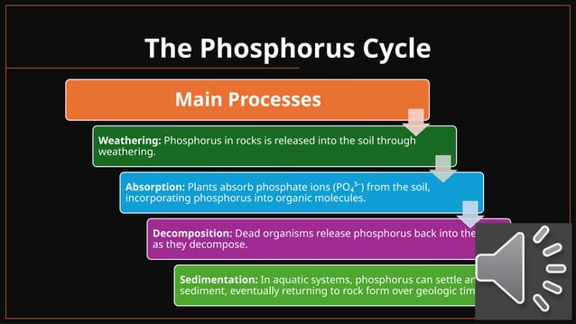 Biogeochemical Cycles (carbon, nitrogen and phosphorus) | PPTX