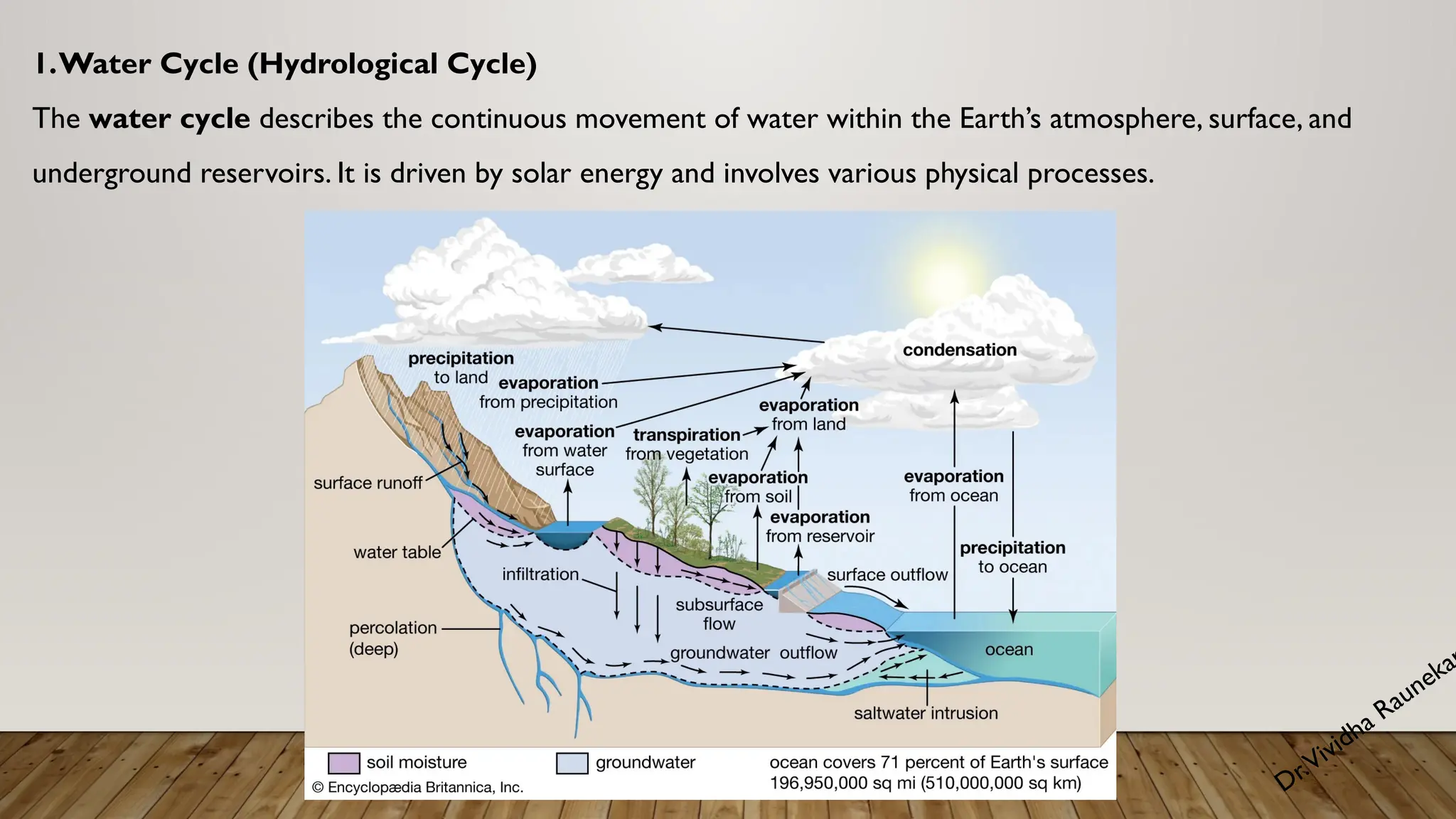 Biogeochemical cyclesWater Cycle, Carbon Cycle, Nitrogen Cycle, and ...