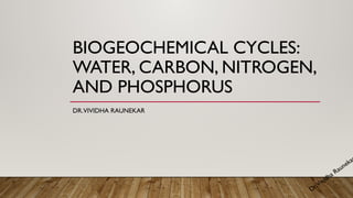 Biogeochemical cyclesWater Cycle, Carbon Cycle, Nitrogen Cycle, and ...