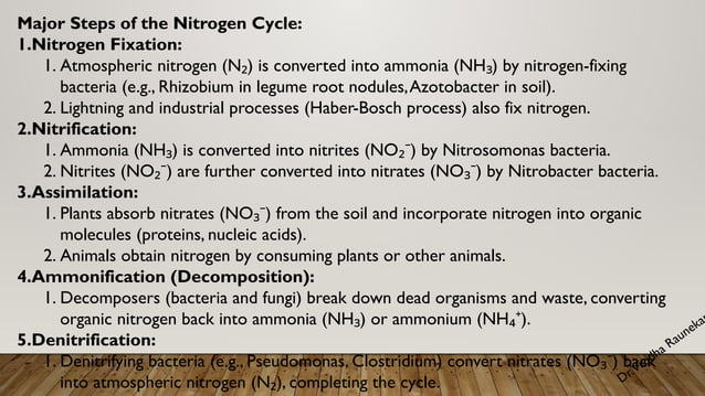 Biogeochemical cyclesWater Cycle, Carbon Cycle, Nitrogen Cycle, and ...