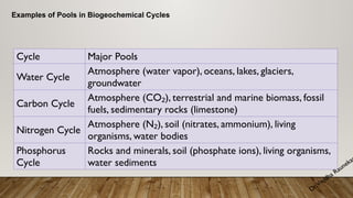 Biogeochemical cyclesWater Cycle, Carbon Cycle, Nitrogen Cycle, and ...