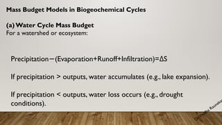 Biogeochemical cyclesWater Cycle, Carbon Cycle, Nitrogen Cycle, and ...
