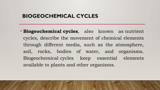 Comprehensive Overview of Biogeochemical Cycles: Water, Carbon ...