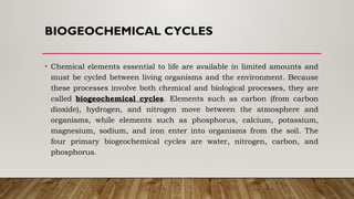 Comprehensive Overview of Biogeochemical Cycles: Water, Carbon ...
