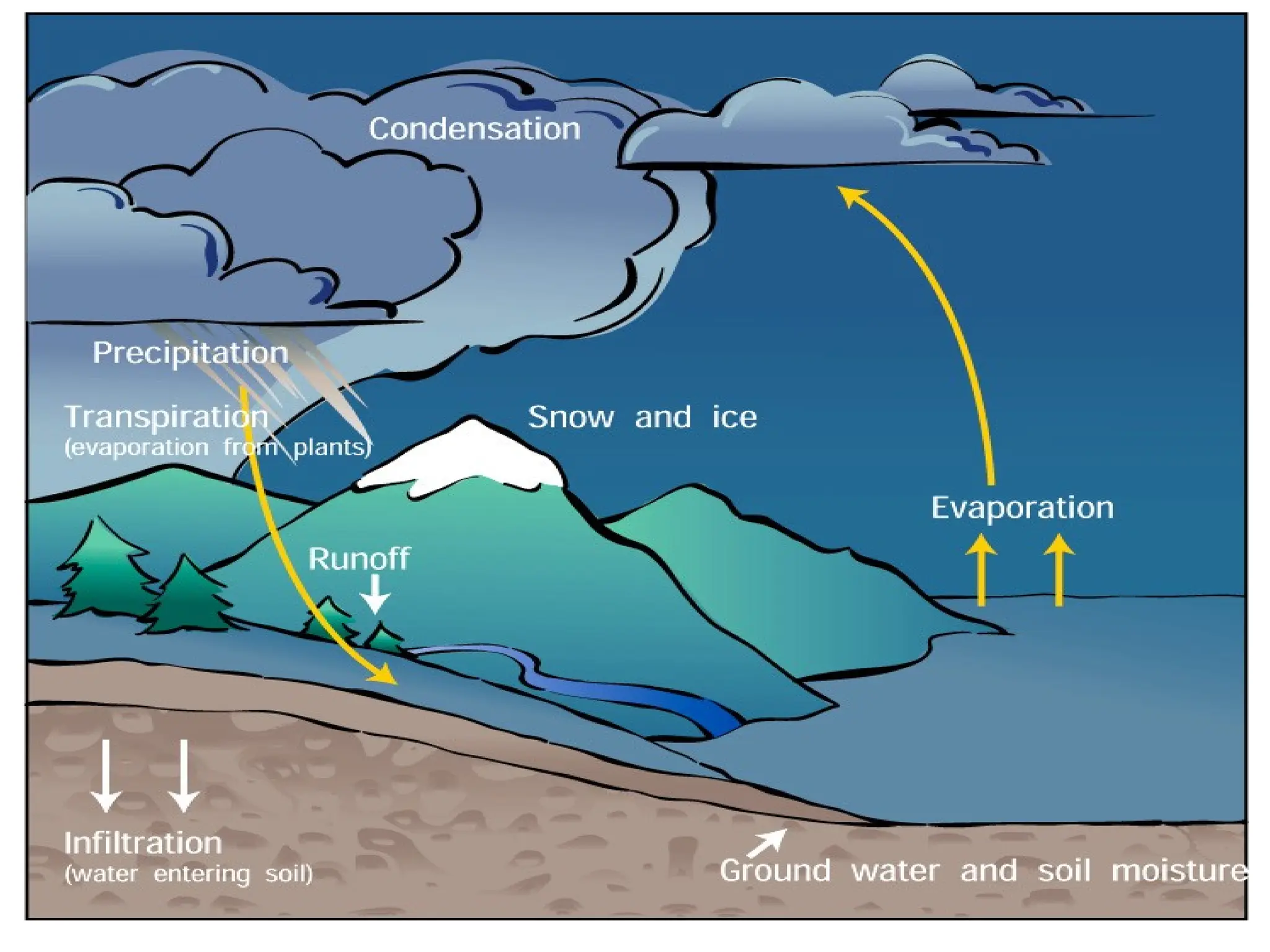 Biogeochemical Cycles - Hydrological Cycle, carbon and Nitrogen,.ppt
